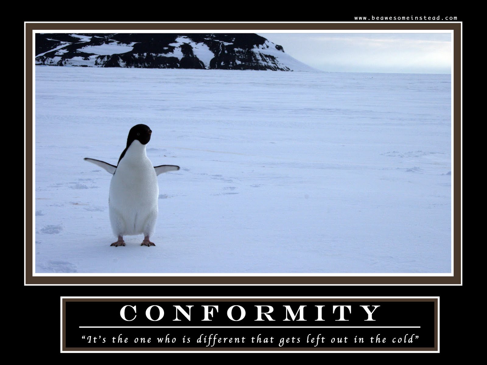 Jamie's Blog: Top 15 Demotivational Posters